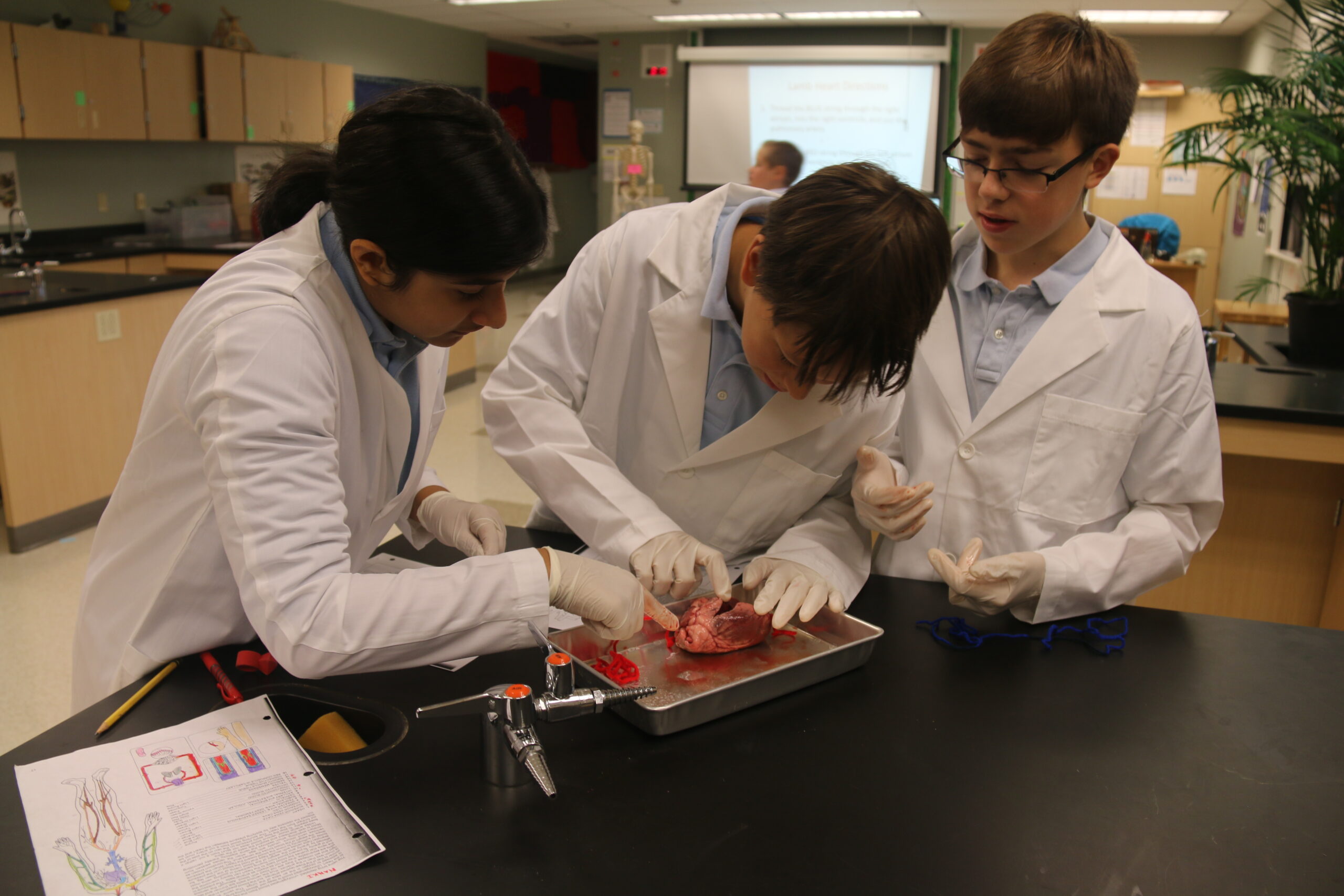 Hands-on dissection in given white coats - The Franklin Academy